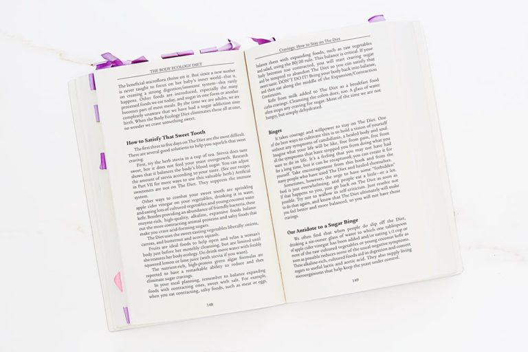 The Body Ecology Diet: A Necessary Stepping Stone For Healing The Gut ...